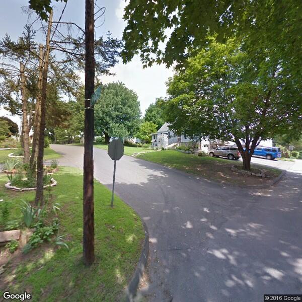 2024 Tree Removal Cost Calculator | Danbury, Connecticut | Manta