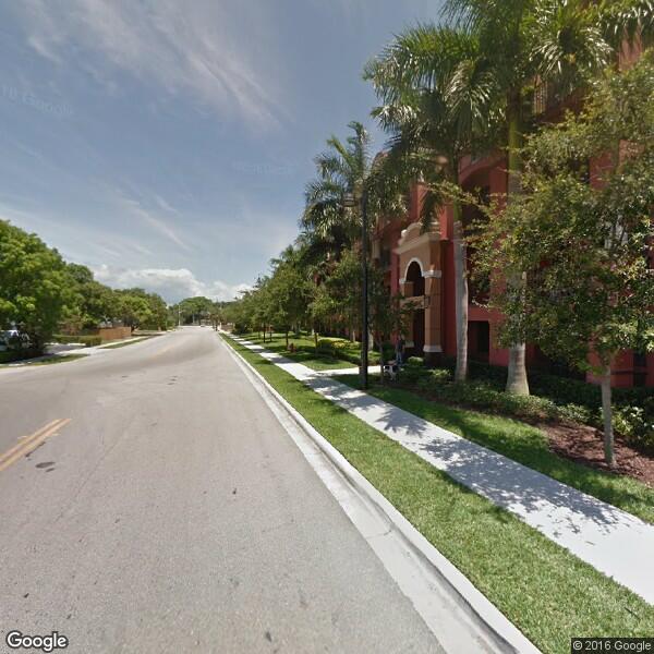 2024 Tree Removal Cost Calculator | Boynton Beach, Florida | Manta